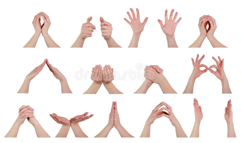Hands in poses stock image. Image of hold, fingers, place - 81679793