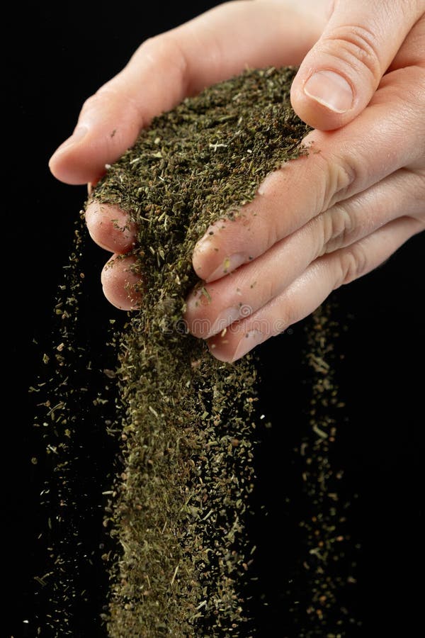 Hands Pour Spice Ground Savory, Black Background Stock Photo - Image of ...
