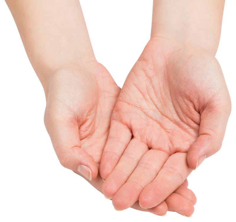 Two hands stock image. Image of palm, flower, abstract - 28292465