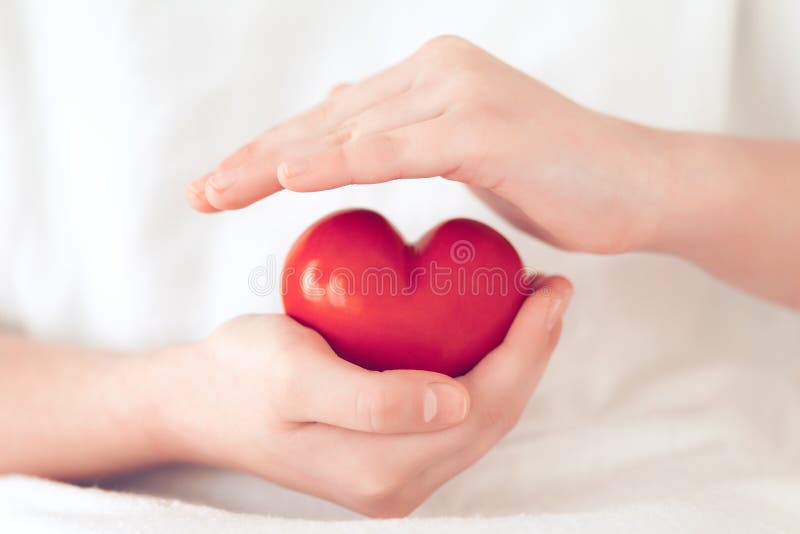Hands protect a heart stock photo. Image of love, cardiologist - 65825776