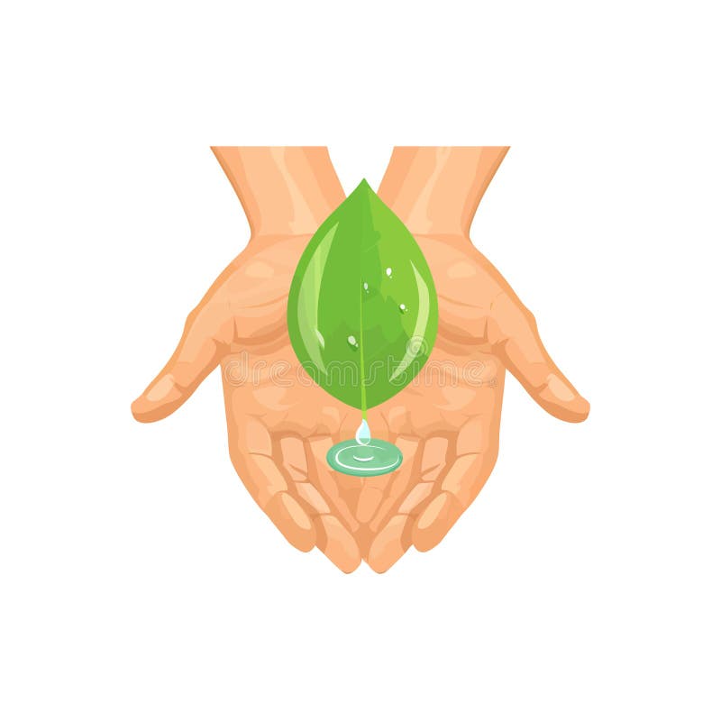 Hands Protectively Holding a Green Leaf with Dewdrop. Vector ...