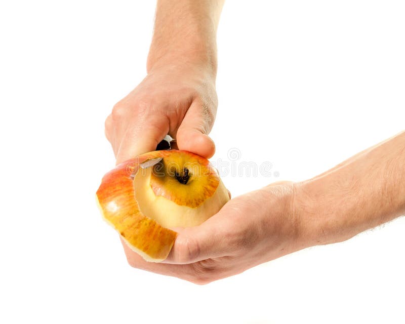 Hands purified apple stock photo. Image of fruit, hands - 67138710