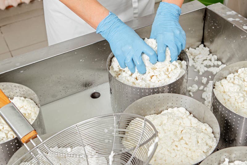Hands Put the Cheese into Shape Stock Photo - Image of factory ...