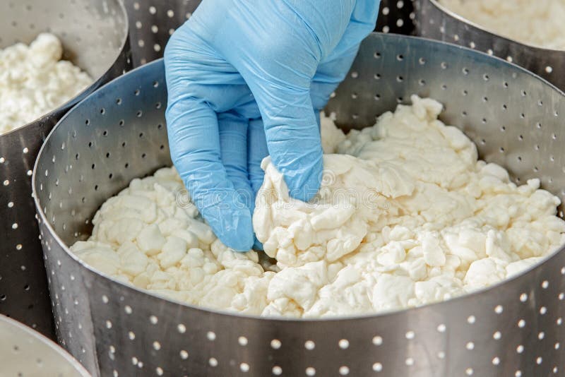 Hands Put the Cheese into Shape Stock Photo - Image of line, operator ...