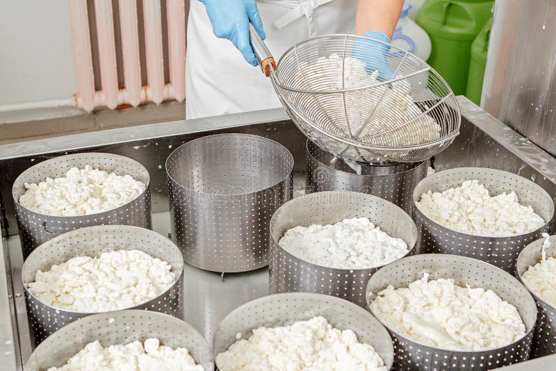 Hands Put the Cheese into Shape Stock Photo - Image of fresh ...