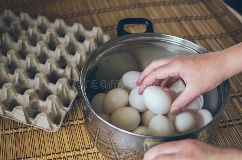 Hands Put White Fresh Chicken Eggs in Cooking Pot for Easter Stock ...