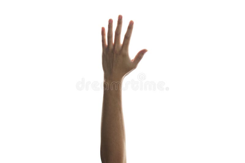 252 Hands Raised Surrender Stock Photos - Free & Royalty-Free Stock ...