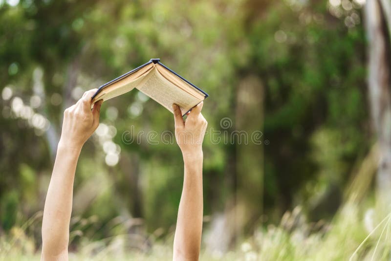 Hands Raising a Book Up To Read Stock Photo - Image of girl, female ...