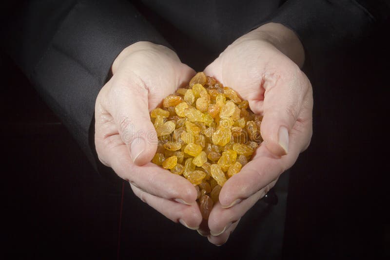 Hands with raisins stock image. Image of ingredient - 182098037