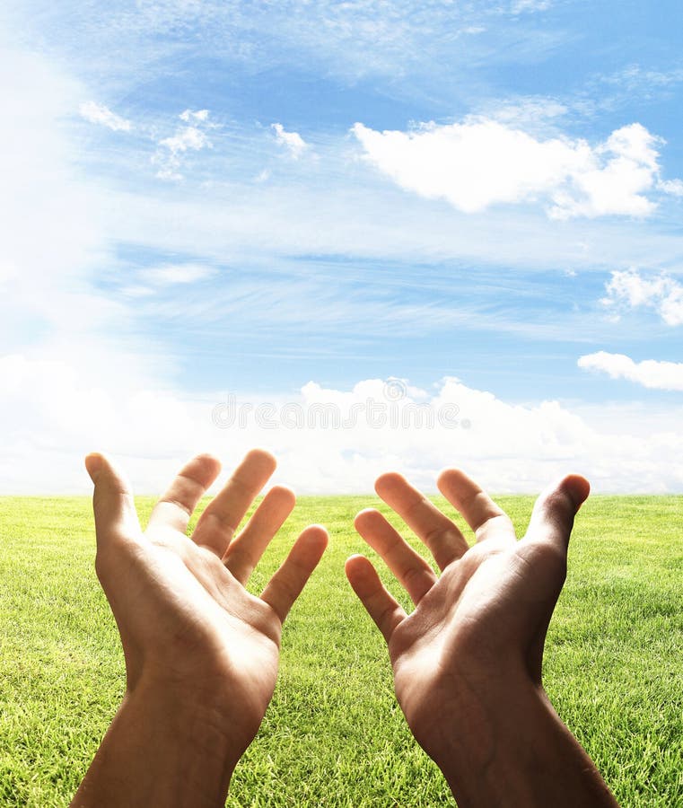 Hands reach for field stock image. Image of green, high - 60663039