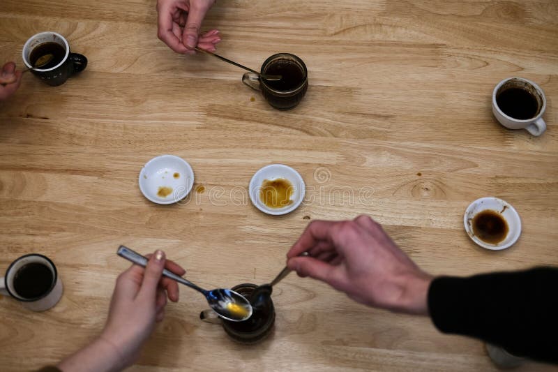 Coffee Cupping with Hands stock image. Image of coffee - 270394479