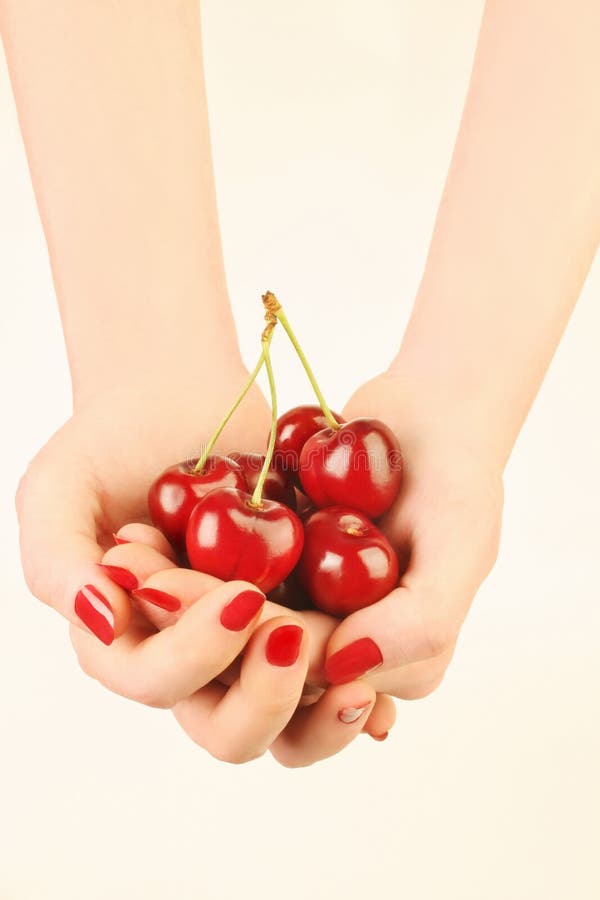 Red Colors: Berries of Black Cherry in Hands Stock Image - Image of ...