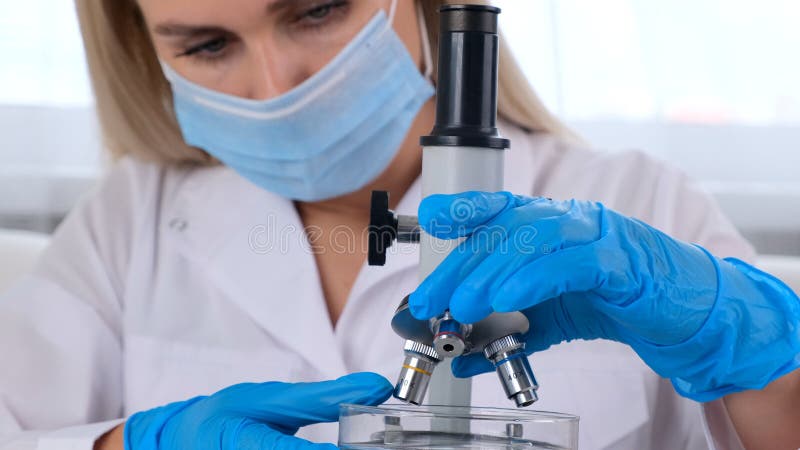 Hands of a Researcher Laboratory Assistant in Protective Gloves Holding ...