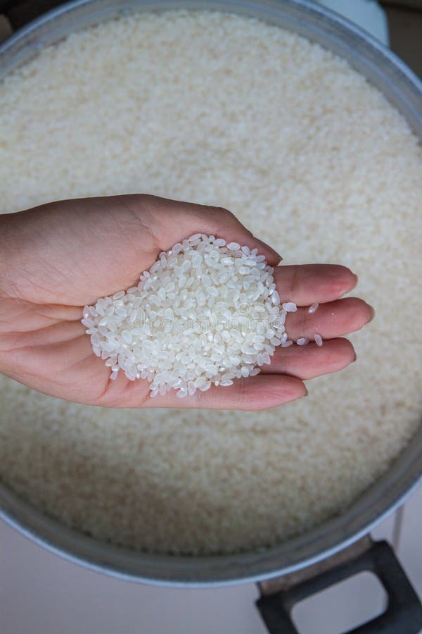 Hands with Rice, Close-up. How To Choose a Quality Rice Stock Image ...