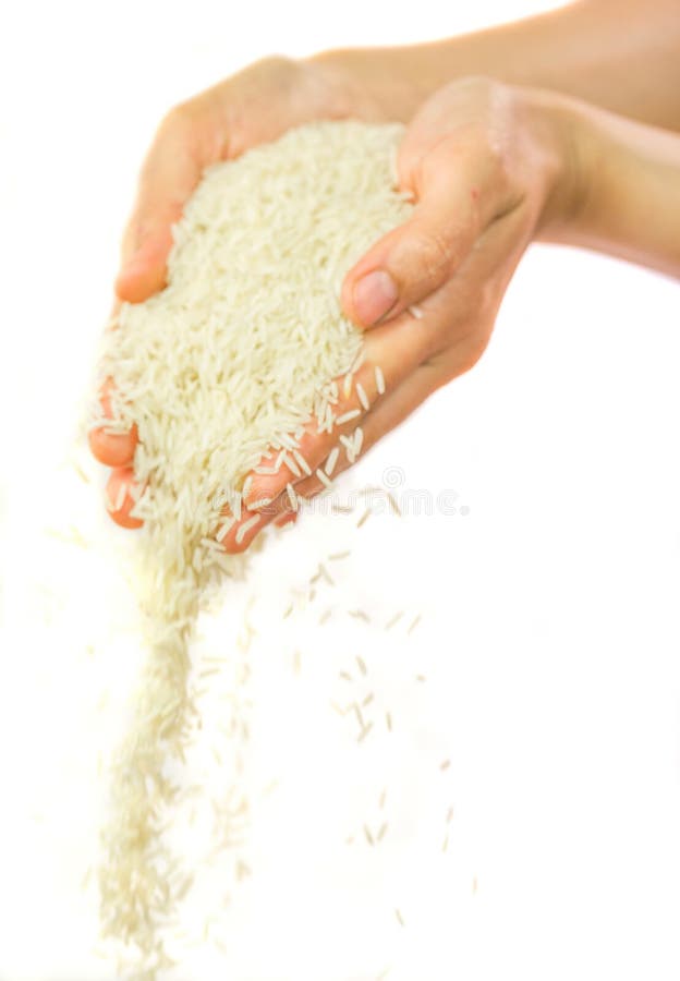 Hands with Rice Grain III stock photo. Image of basmati - 30700032