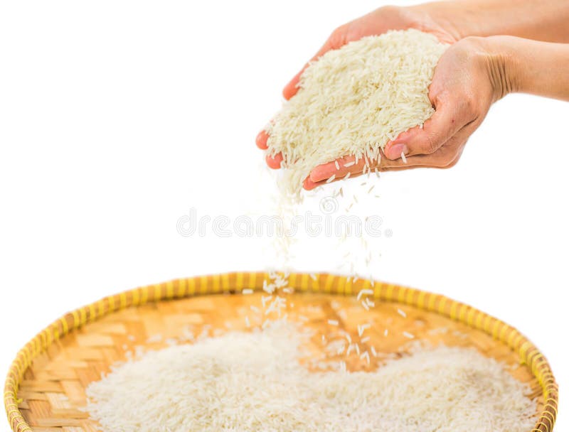 Hands with Rice Grain II stock image. Image of release - 30699975