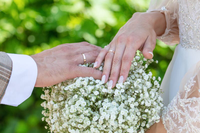 Hands with Rings of the Bride and Groom at the Wedding. Stock Photo ...