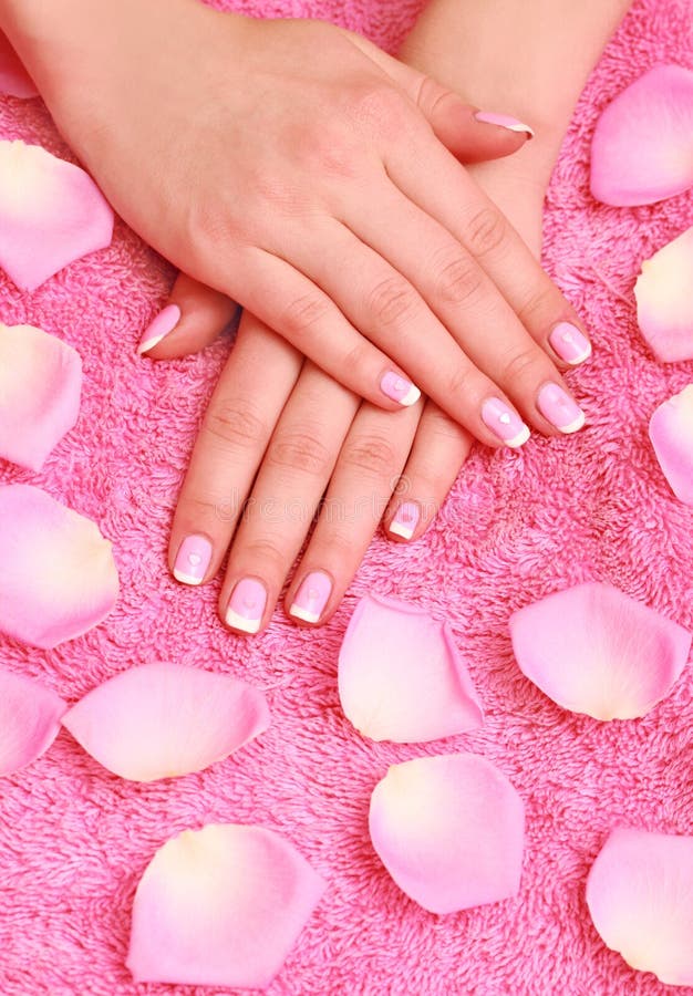 Hands with rose stock photo. Image of adult, freshness - 10714852