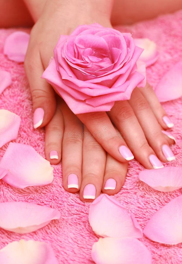 Hands with rose stock photo. Image of leisure, freshness - 10729748