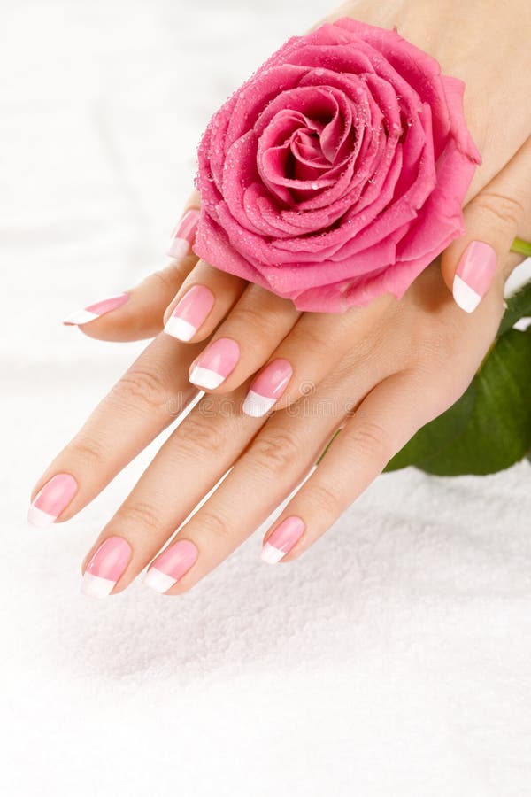 Hands with a rose stock photo. Image of cuticle, clean - 17460462