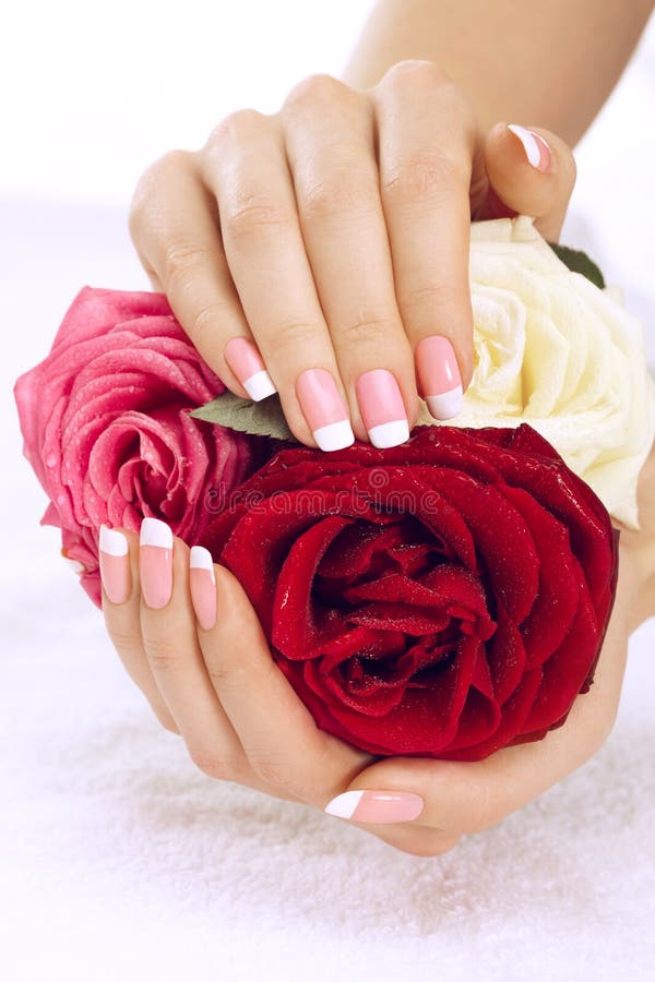 Woman Hands Holding Red Rose Stock Image - Image of massage, delicate ...