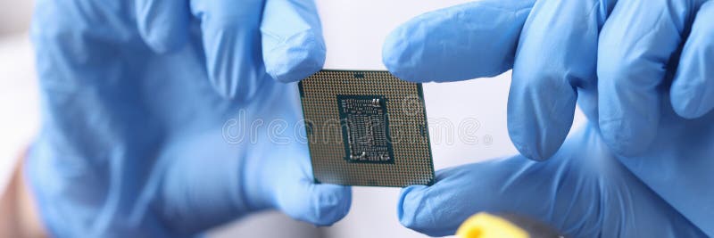 Hands in Rubber Gloves are Holding Microprocessor Closeup Stock Photo ...