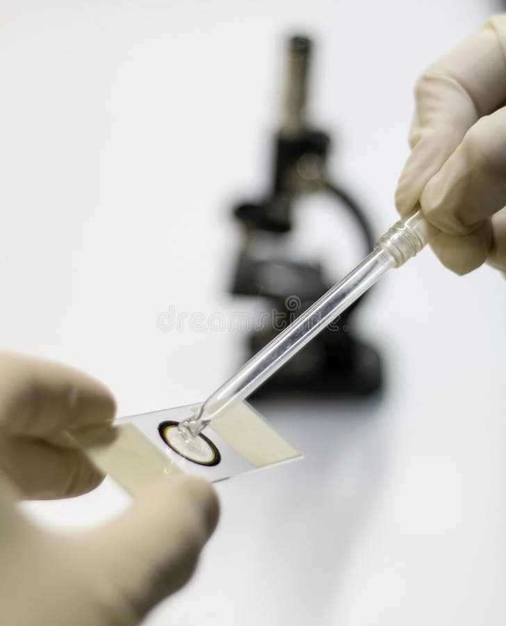Hands of a Scientific Researcher As he Arranges a Sample on a ...