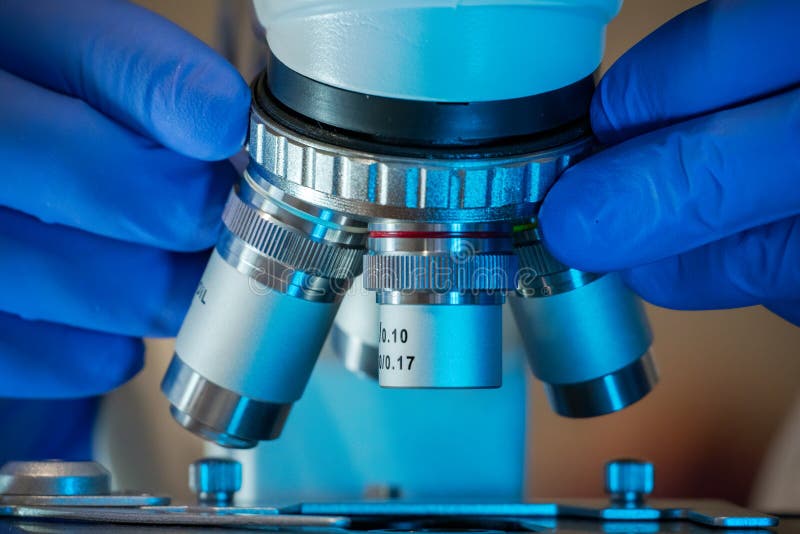 Hands of Scientist Adjusting Microscope in Laboratory. Stock Photo ...