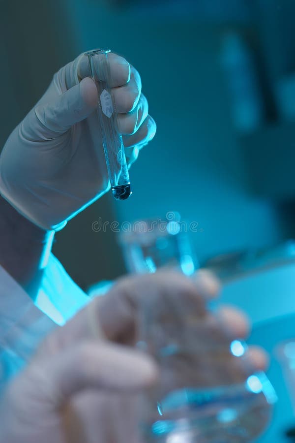 Researcher Hands in Biolab stock image. Image of scientist - 352370767