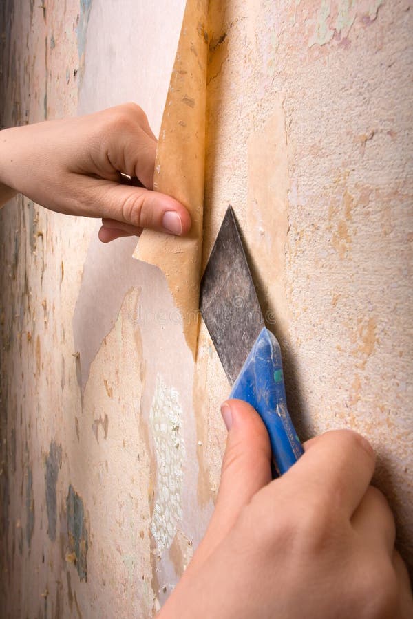 Hands Scraping Off Old Wallpaper with Spatula Stock Photo - Image of ...