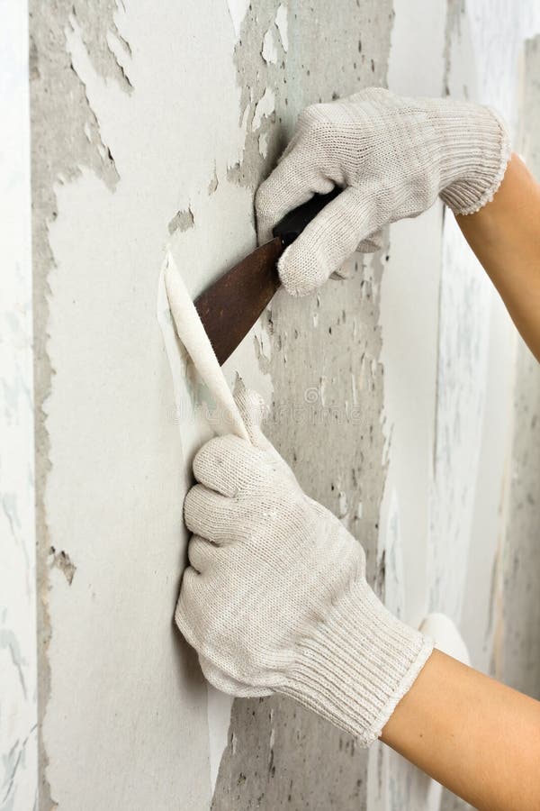 Hands Scraping Off Old Wallpaper with Spatula during Repair Stock Image ...
