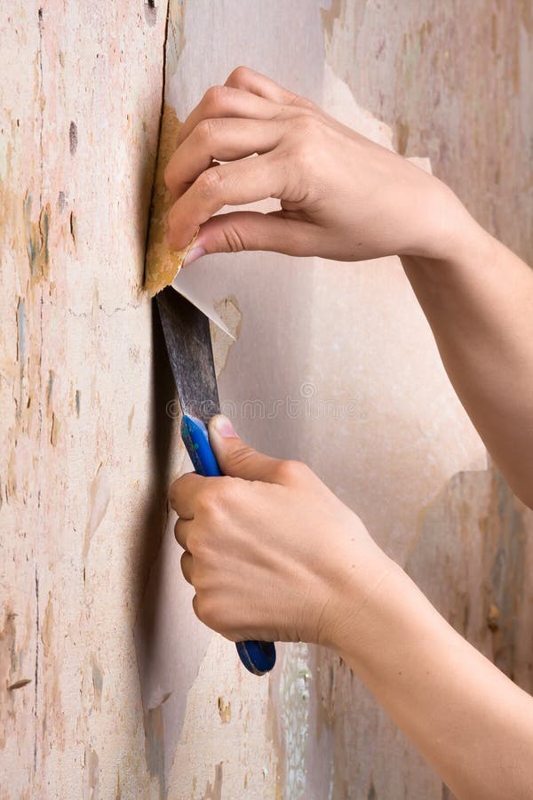 Hands Scraping Off Old Wallpaper from Wall Stock Photo - Image of home ...