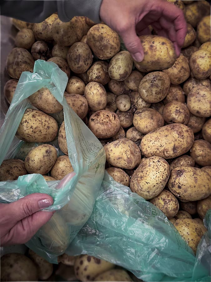 Hands Selecting Fresh Potatoes from a Market Display during the Day ...