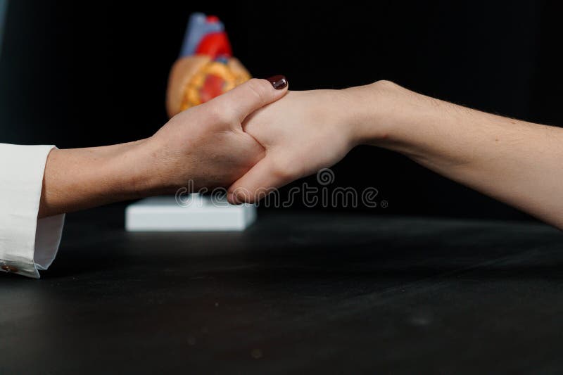 Hands Shaking with Anatomical Heart Model in Background Stock Image ...