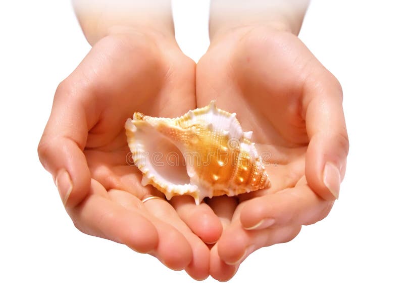Hands with shell stock photo. Image of precious, house - 2754484