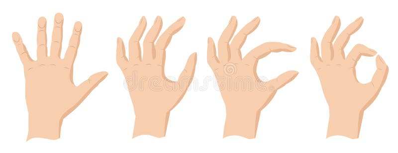 Hands Show the Sign Everything is Fine. European Hands Stock Vector ...