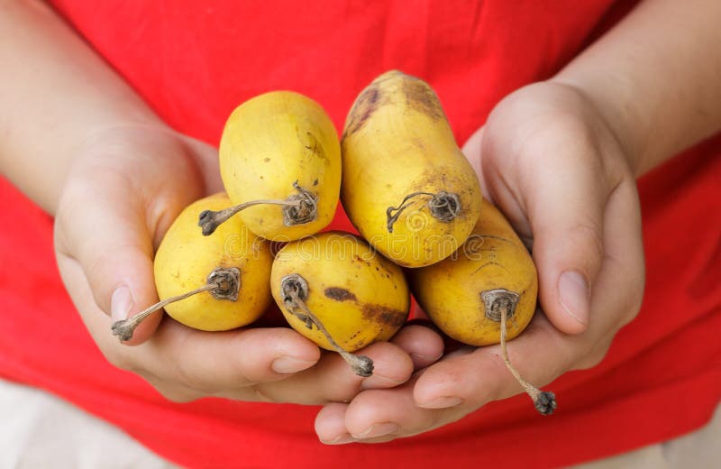 Hands showing a banana stock image. Image of peel, fruit - 40003385