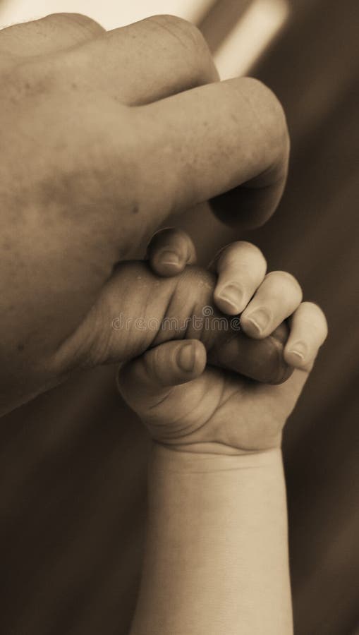 Hands stock image. Image of hands, nails, love, baby - 56496183