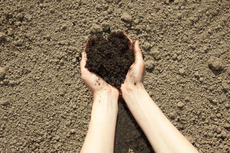 Hands with soil stock photo. Image of holding, gardening - 32042304