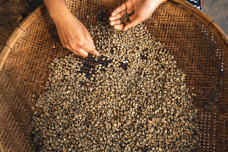 7,328 Sorting Hand Stock Photos - Free & Royalty-Free Stock Photos from ...