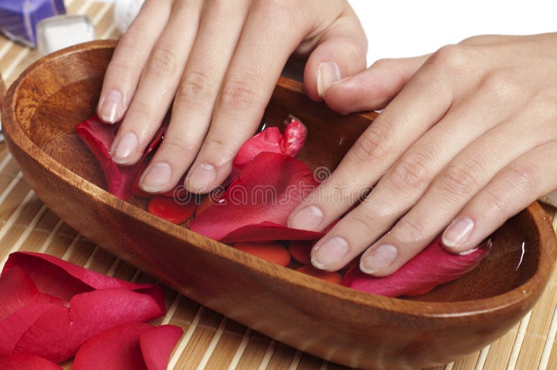 Hands Spa. Manicure Concept Stock Image - Image of flower, health: 24840705