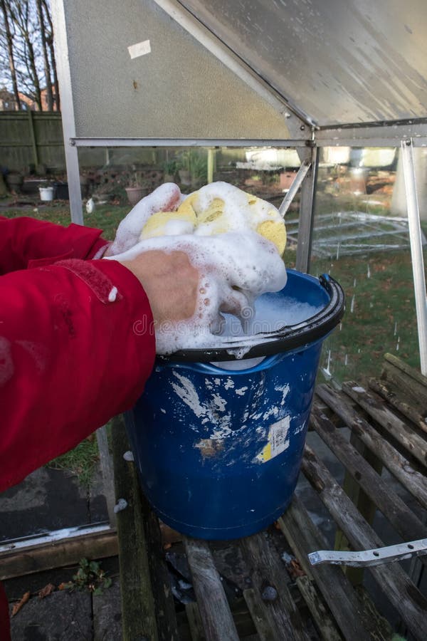Hands with Sponge and Soapy Water in a Blue Bucket on a Bench Inside a ...