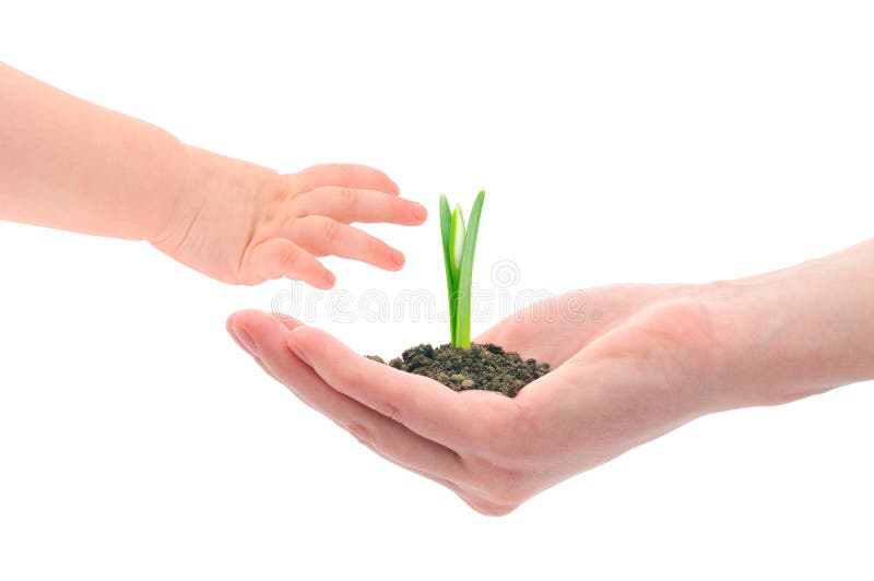 Hand and sprout stock image. Image of dirty, plant, green - 10284207