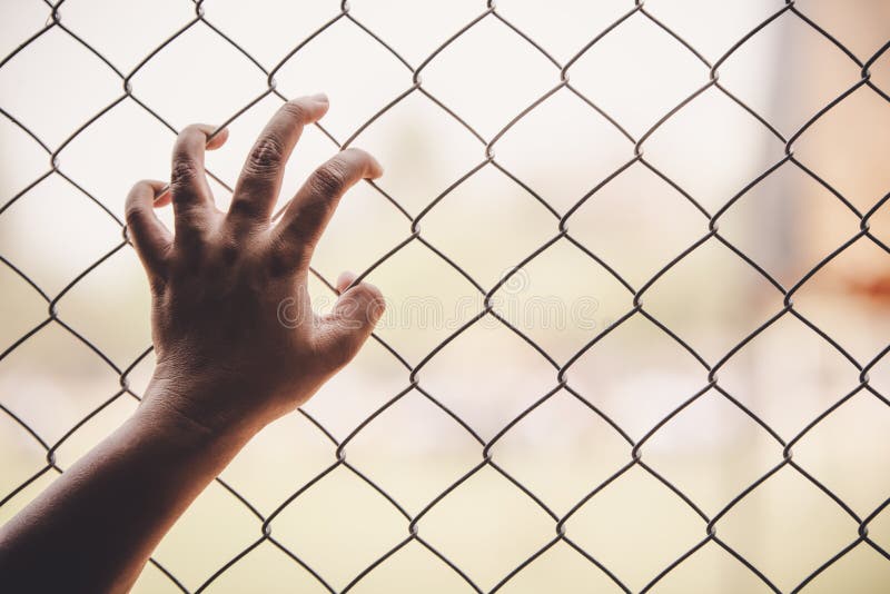 492 Human Steel Cage Stock Photos - Free & Royalty-Free Stock Photos ...