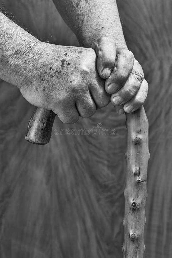 Hands and stick stock photo. Image of retirement, senior - 53455400