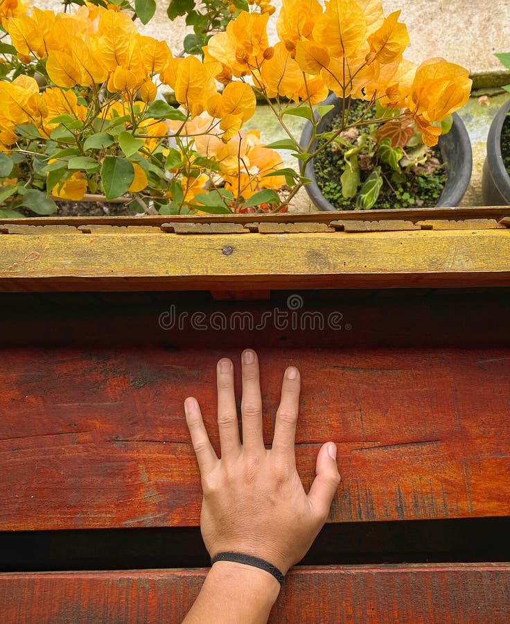Hands Sticking To the Table Stock Image - Image of hand, table: 379388113