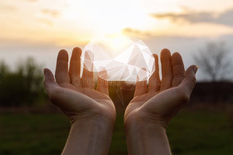 Hands Support the Brain in the Sun . Stock Photo - Image of ...