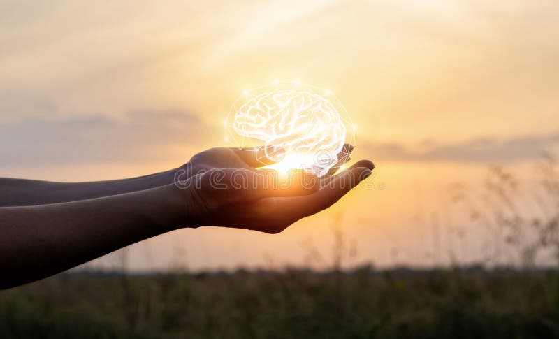 Hands Support the Brain in the Sun . Stock Photo - Image of ...