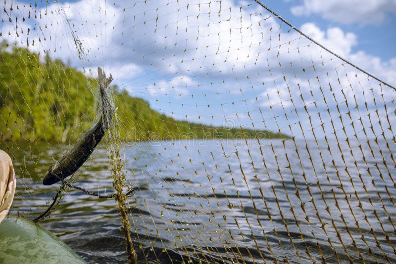 Fishing nets on a boat stock image. Image of catch, agility - 119728073