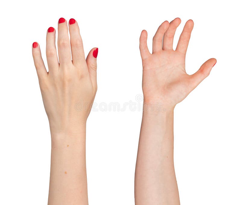 210 Back Hand Grabbing Stock Photos - Free & Royalty-Free Stock Photos ...